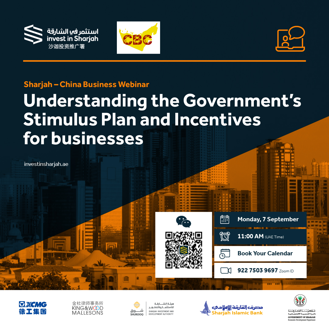 Understanding the Government’s Stimulus Plan and Incentives for ...